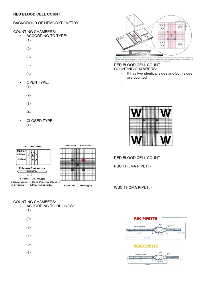 Red Blood Cell Count Techniques Guide | PDF | Science & Mathematics ...
