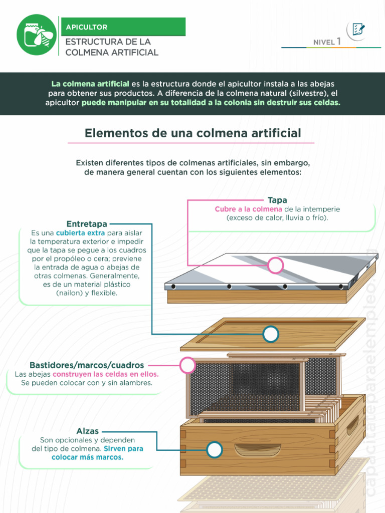 Estructura de La Colmena Artificial en Apicultura | PDF