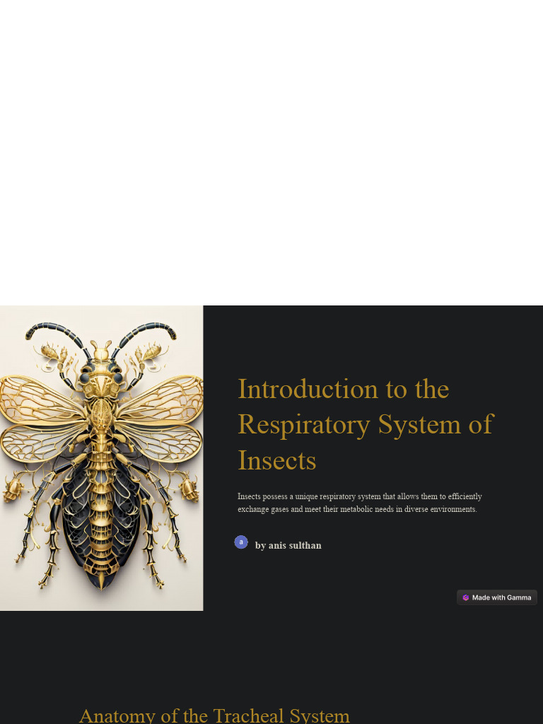 Introduction To The Respiratory System of Insects | Download Free PDF ...