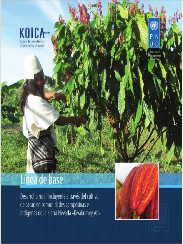 Desarrollo Rural Incluyente A Través Del Cultivo De Cacao En