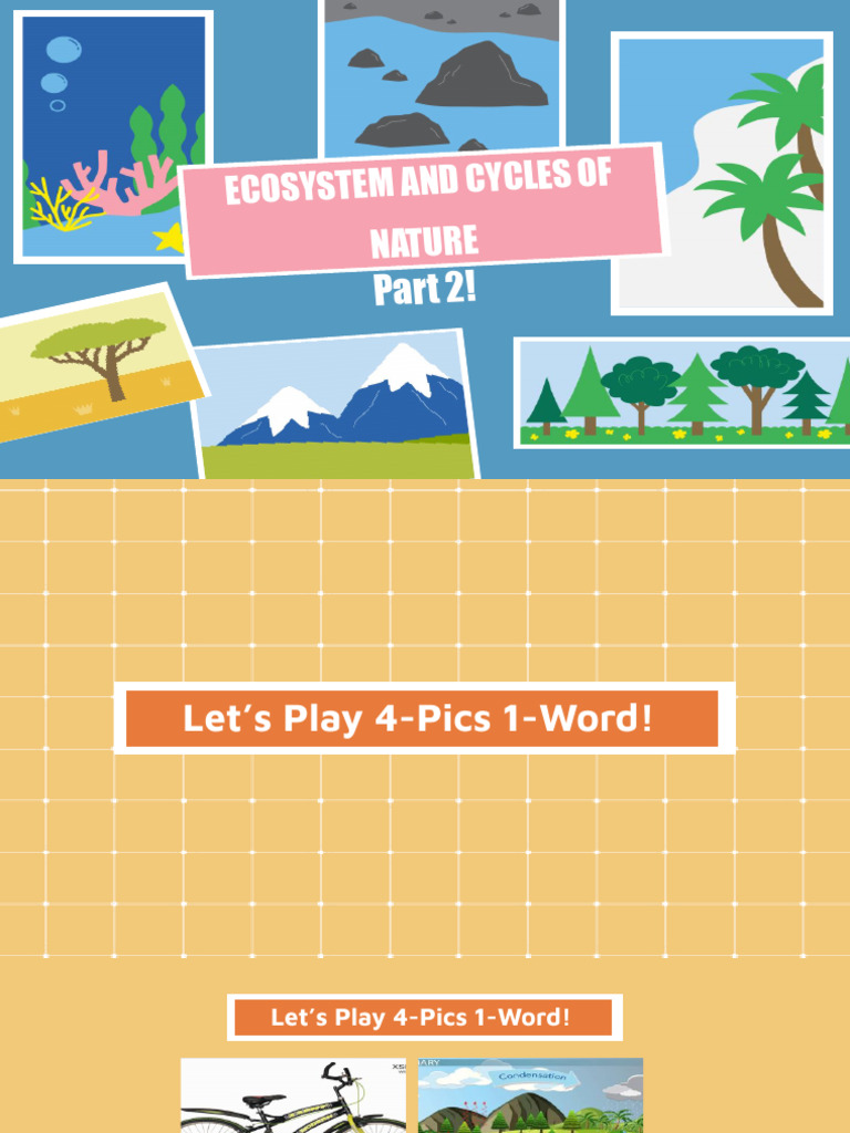 Nitrogen and Phosphorus Cycles Explained | PDF | Ecosystem | Soil