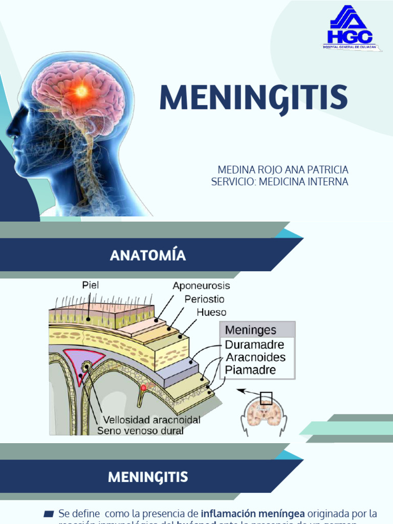 Meningitis: Tipos, Diagnóstico y Tratamiento | PDF | Meningitis ...