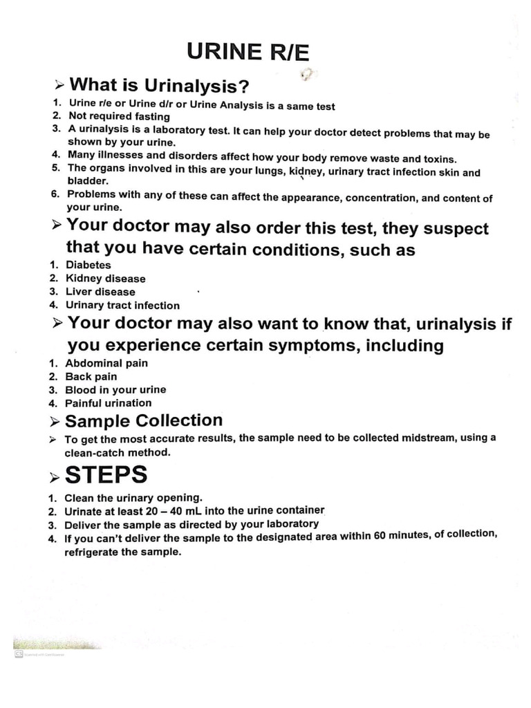 Urine_Routine_Examination__1716355169 | PDF