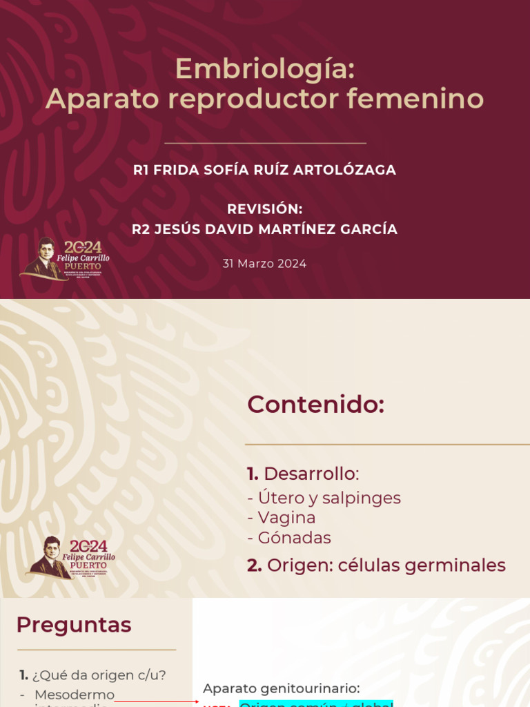 Embriología Aparato Sexual Femenino - Fsra | PDF | Ovario | Sistema reproductivo