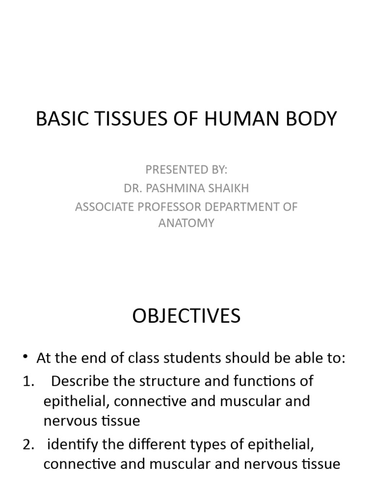 Basic Tissues of Human Body | PDF | Epithelium | Central Nervous System