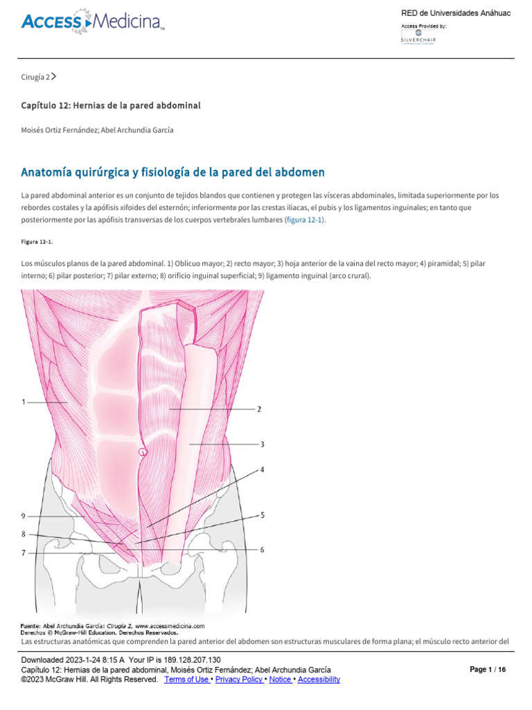 Capítulo 12 - Hernias de La Pared Abdominal | PDF | Abdomen | Anatomía