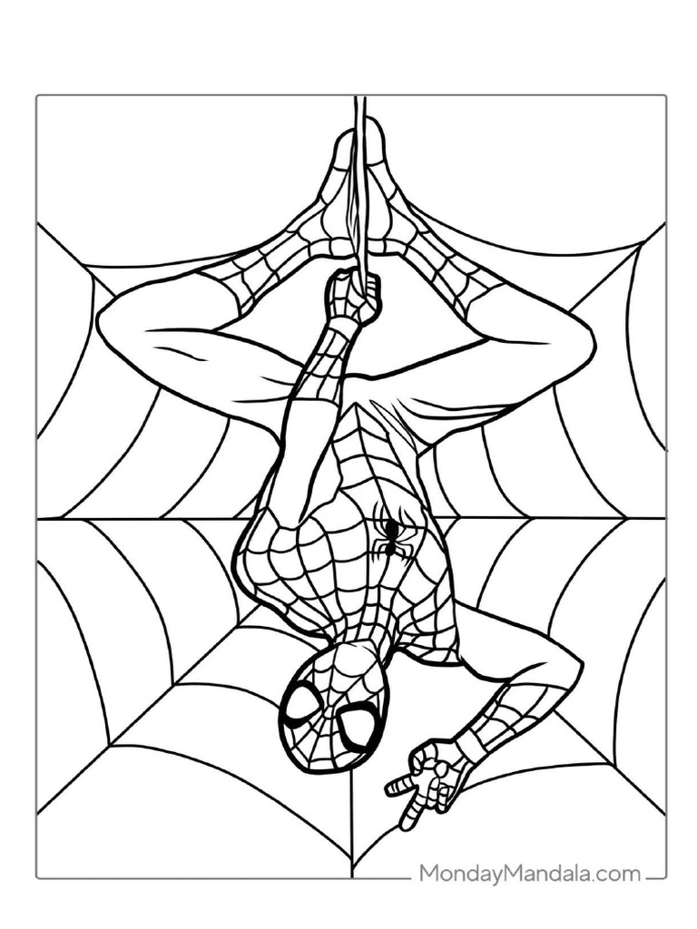 Spider | PDF