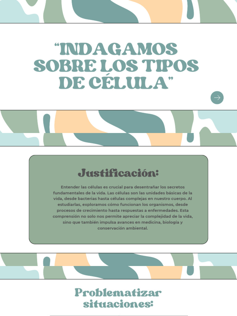 Tipos de Celula | PDF | Biología Celular) | Organismos