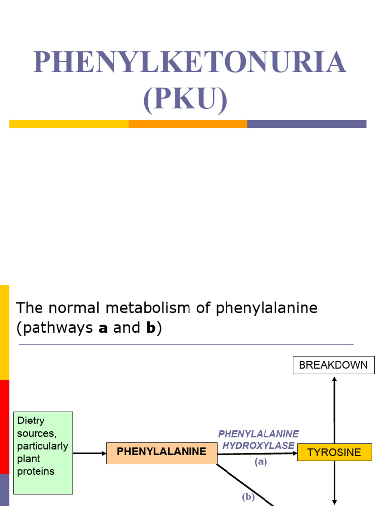 Phenylketonuria (Pku) | Download Free PDF | Phenylalanine | Biology