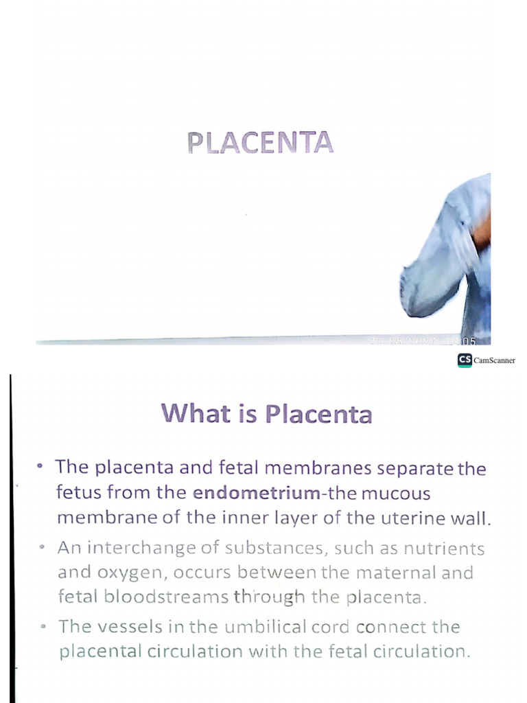 Placenta | PDF