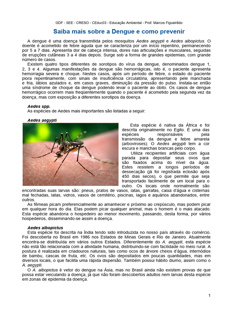 Dengue e Febre Amarela | PDF | Aedes aegypti | Febre amarela