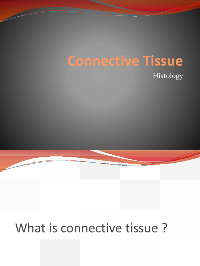 Connective Tissue(1) (1) | PDF | Connective Tissue | Anatomy