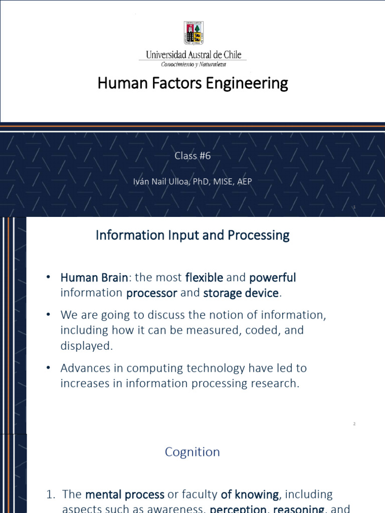 Class 6 - HFE II 2023 | PDF | Psychophysics | Information