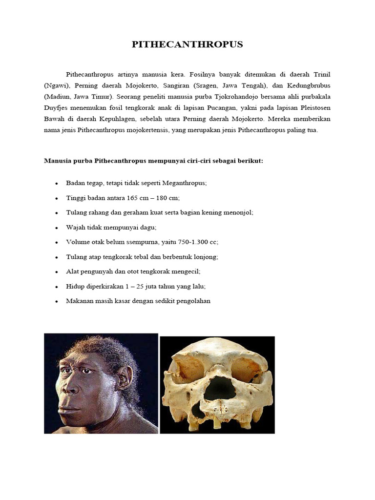 Fosil Pithecanthropus di Indonesia | PDF | Ilmu Sosial | Agama ...