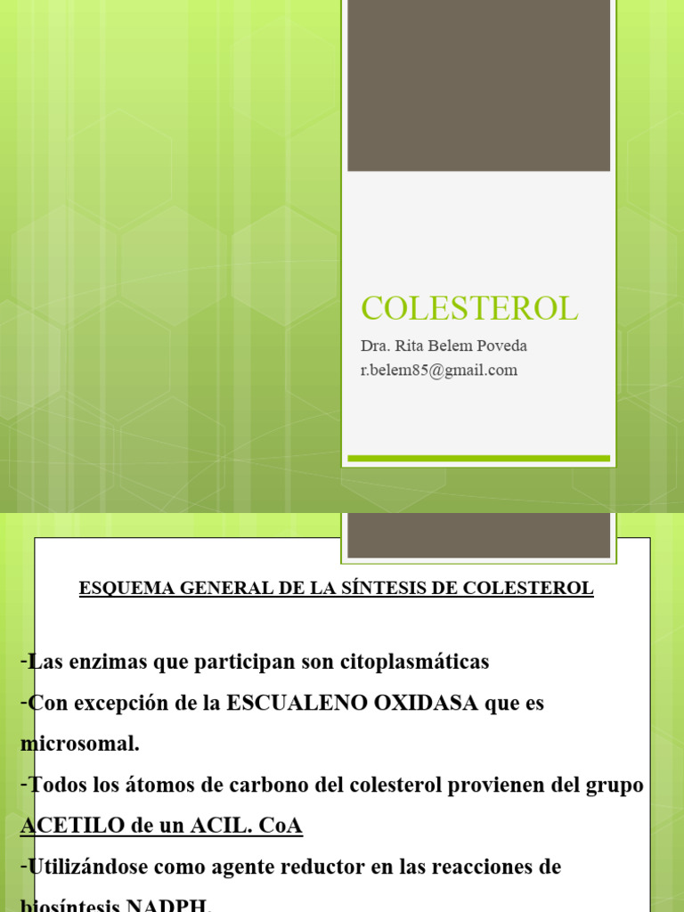 Colesterol | PDF | Colesterol | Lipoproteína