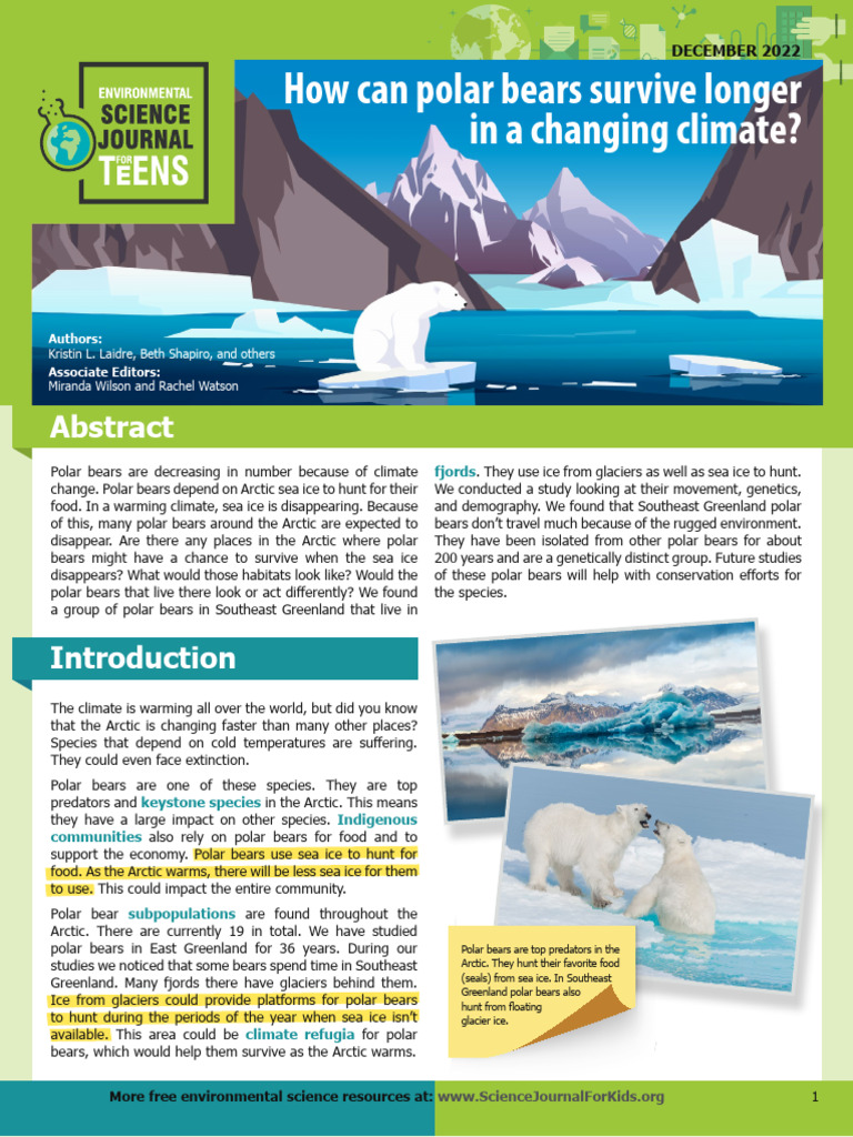 Polar Bears Article | Download Free PDF | Polar Bear | Arctic