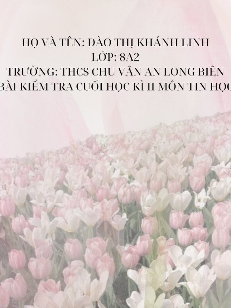 Đào Thị Khánh Linh | PDF