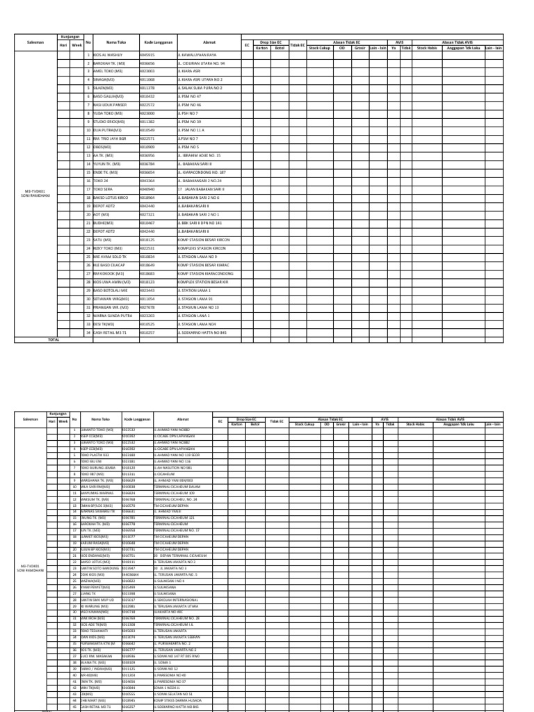 Data Kunjungan Salesman | PDF