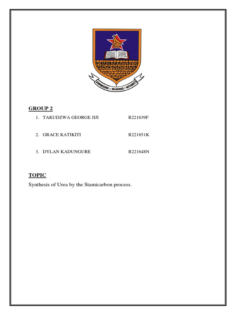 Urea Synthesis via Stamicarbon Process | PDF | Urea | Pump