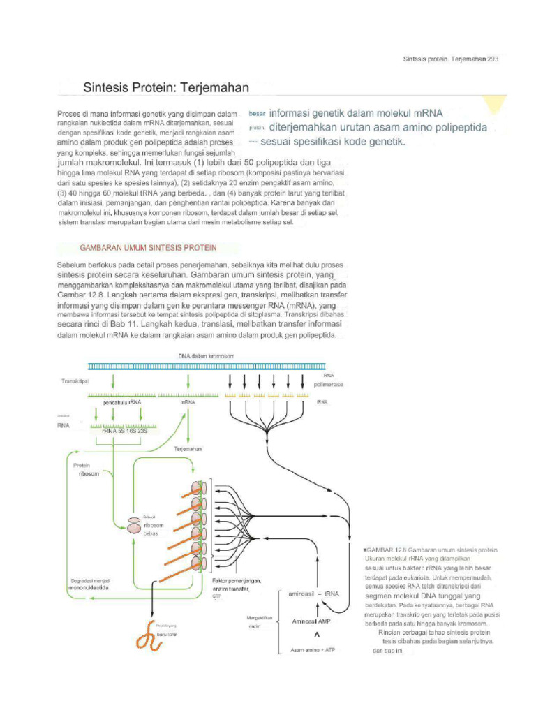 Translate - Gardner - Snustad - Translasi - Removed | PDF