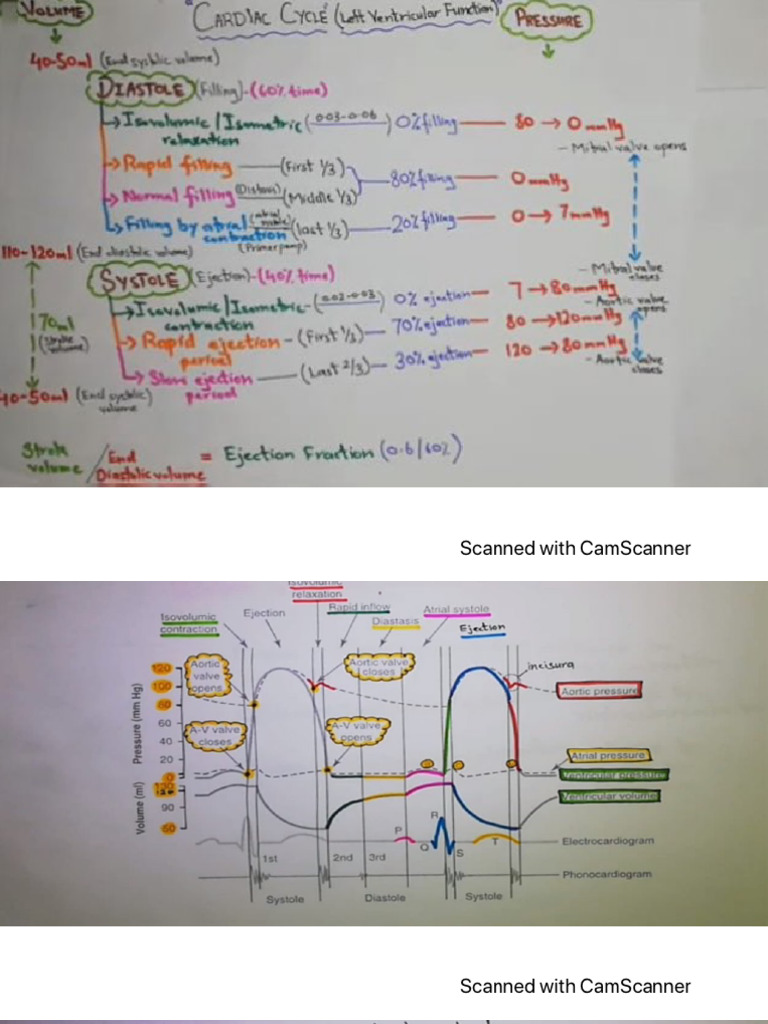 Medical Gateway Heart physiology | PDF