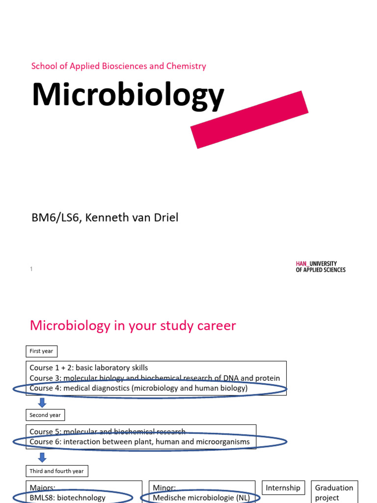 2021-22 Term33 BM6-LS6 Micro1 | PDF | Fungus | Microorganism