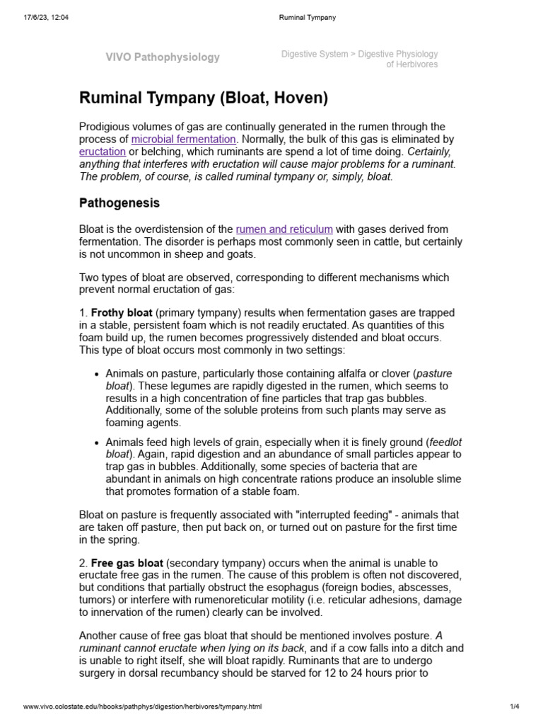 Ruminal Tympany | PDF | Clinical Medicine | Medical Specialties