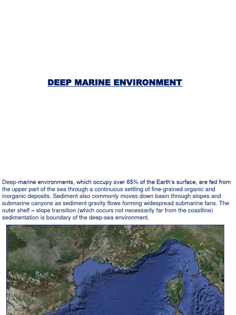 11 - Deep Marine Environment | PDF | Sedimentary Rock | Geology