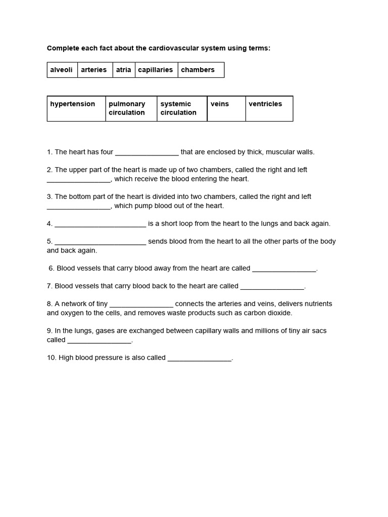Cardiovascular system review | PDF