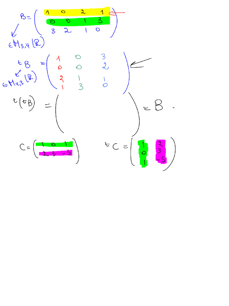 Transposée D'une Matrice Exemples | PDF