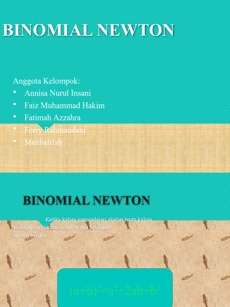 Binomial Newton | PDF