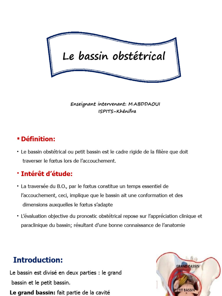 Le Bassin Obstétrical | PDF | Bassin (anatomie) | Appareil locomoteur