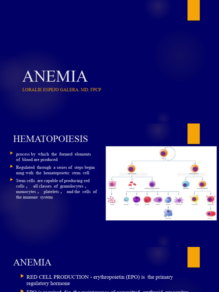 Understanding Anemia: Causes and Diagnosis | PDF | Coagulation | Anemia