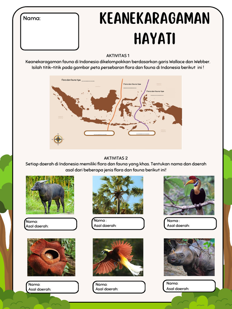 Lucu Berwarna Ilustrasi Alam Lembar Kerja Jenis Hewan - 20240429 ...