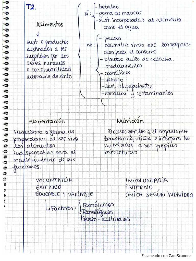 Esquemas t2,3,4,5 Bromatologia | PDF