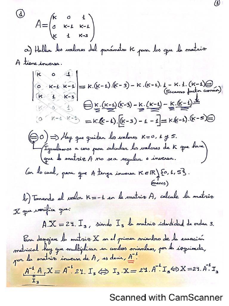 Ejercicios Resueltos EBAU | PDF