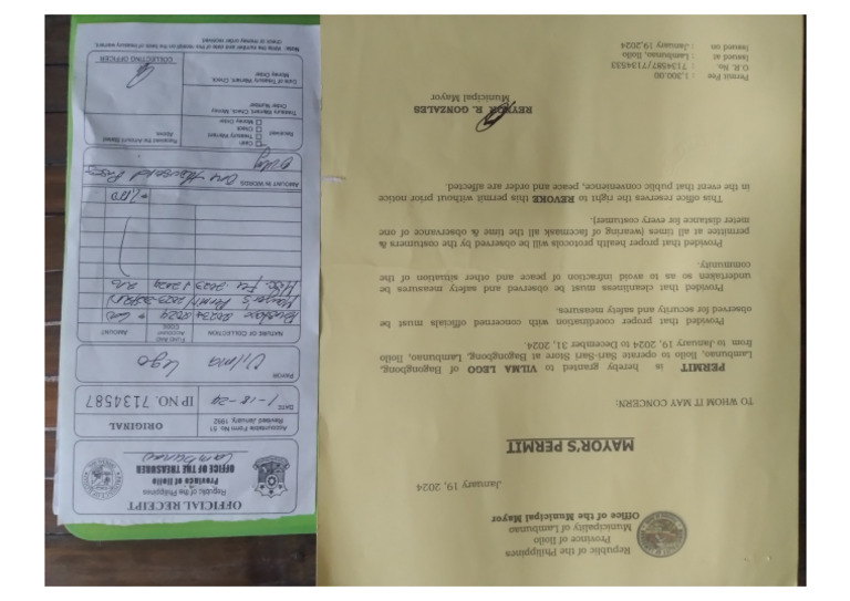 Business Permit 2024 | PDF