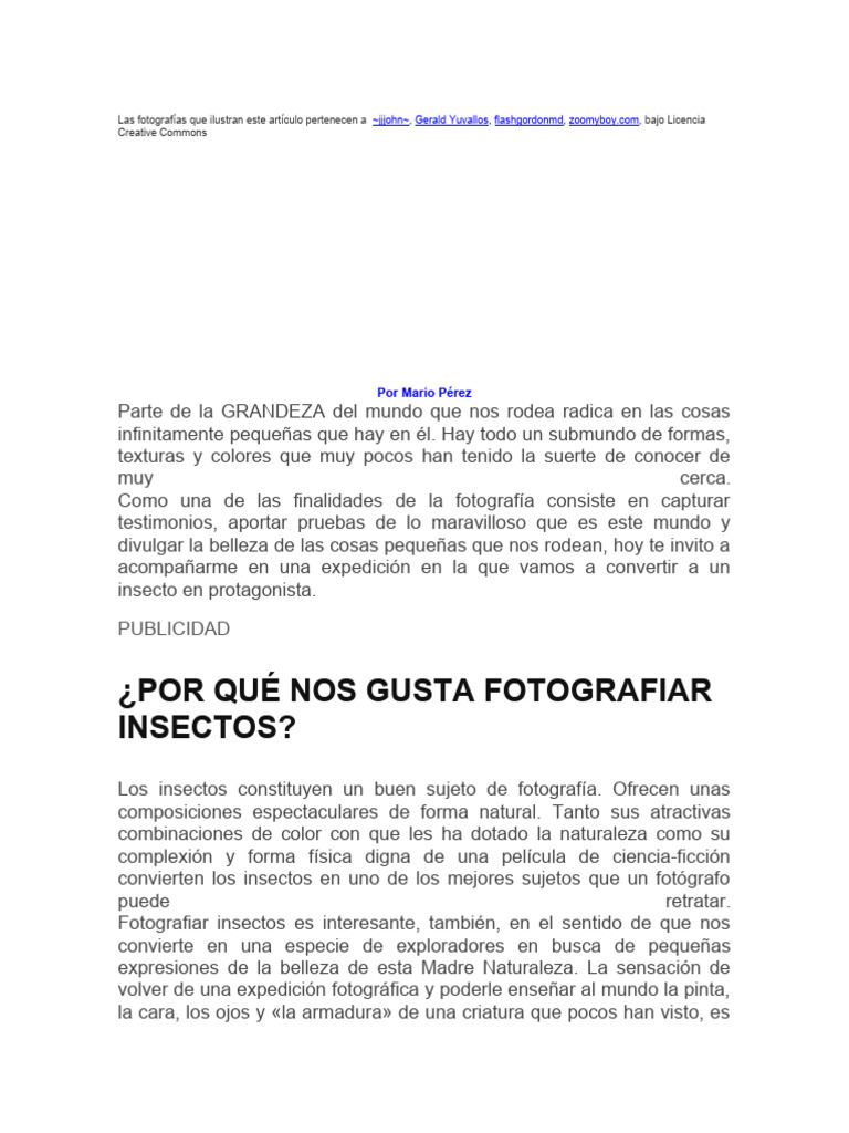 Guía Completa de Fotografía de Insectos | PDF | Cámara | Fotografía macro