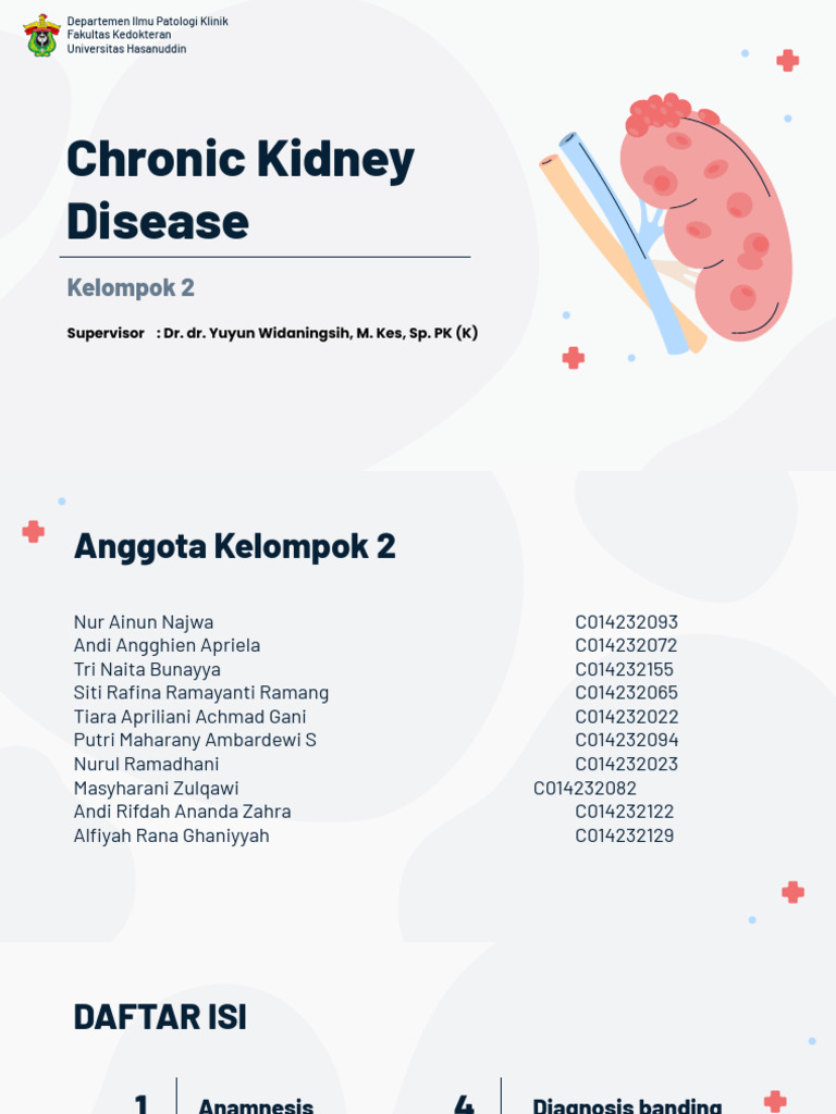 Kelompok 2 - CKD-2 | PDF