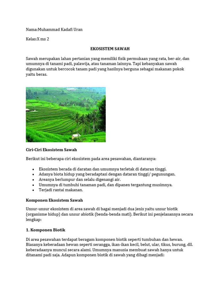 Ekosistem Sawah | PDF