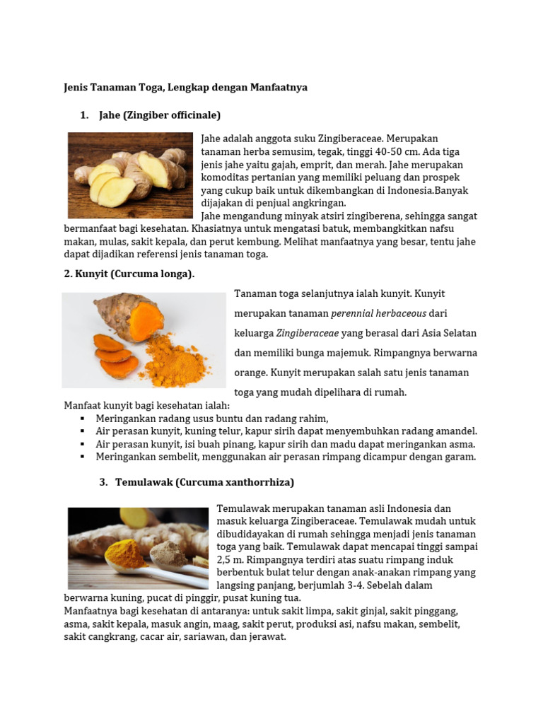 Jenis Tanaman Toga | PDF | Griya & Taman | Sains & Matematika
