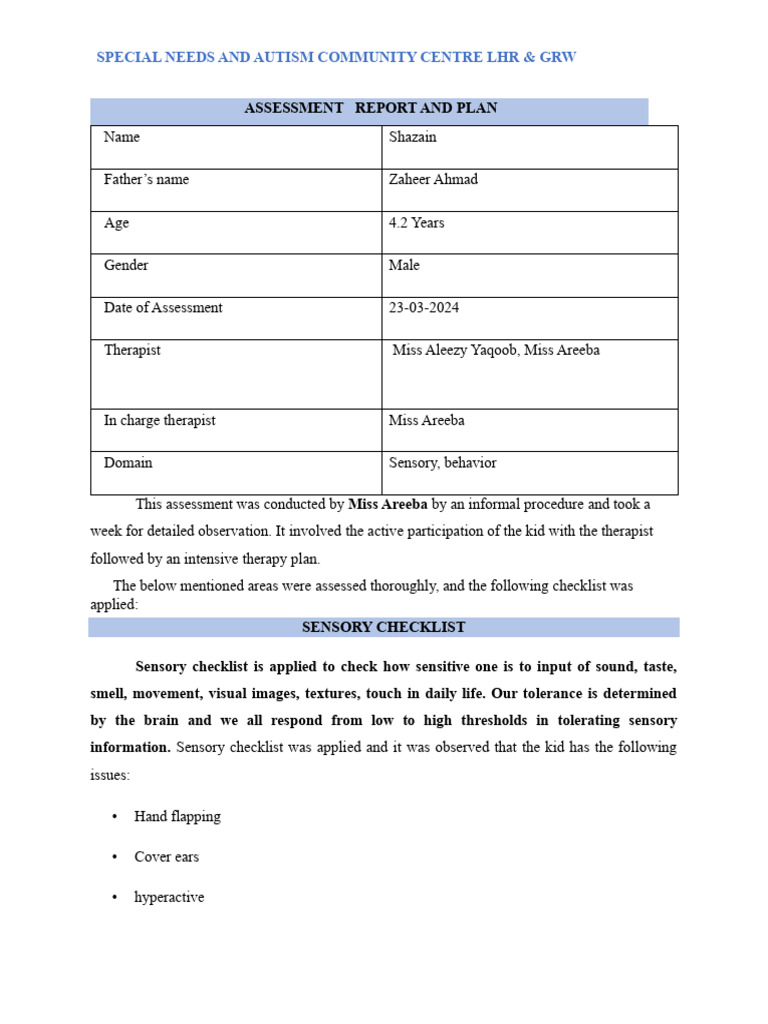 Autism Assessment Report for Shazain | PDF | Imitation | Attention