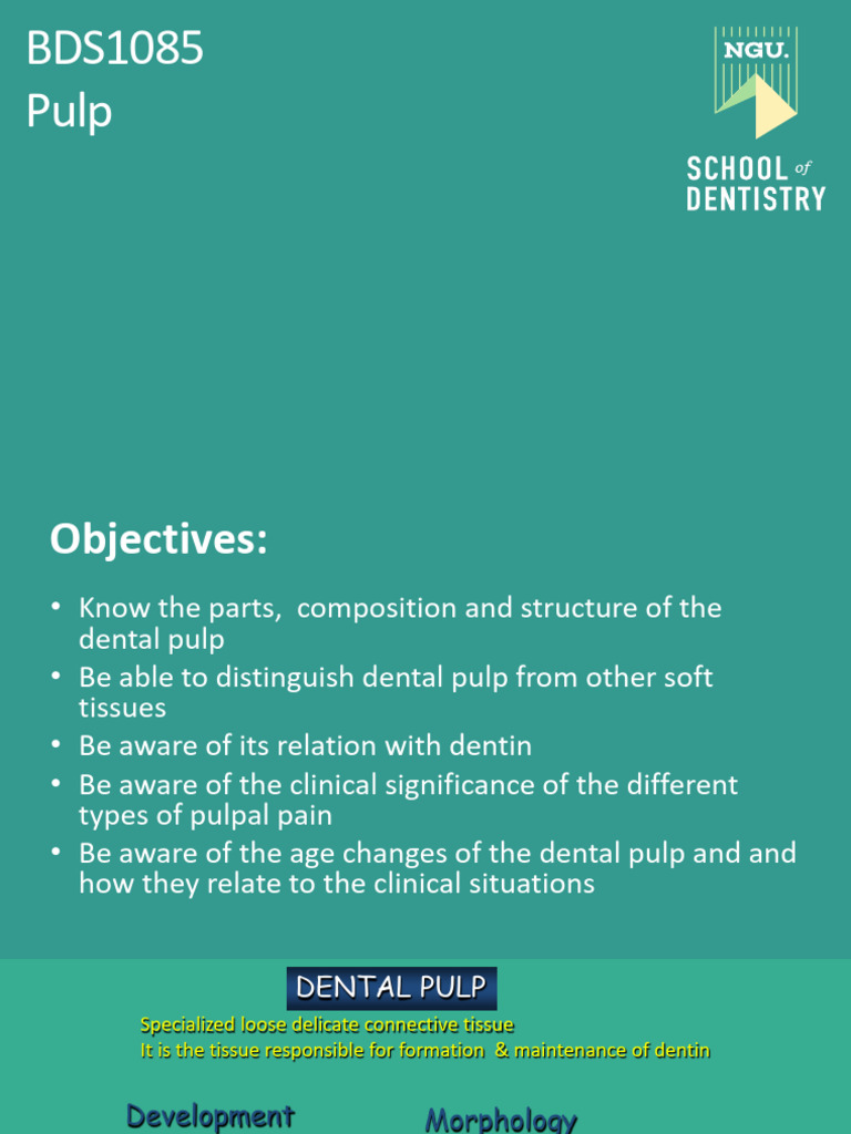 Understanding Dental Pulp Anatomy | PDF | Dental Anatomy | Dentistry ...
