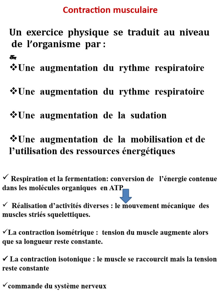 Mécanismes de la contraction musculaire | PDF | Muscle | Contraction du ...