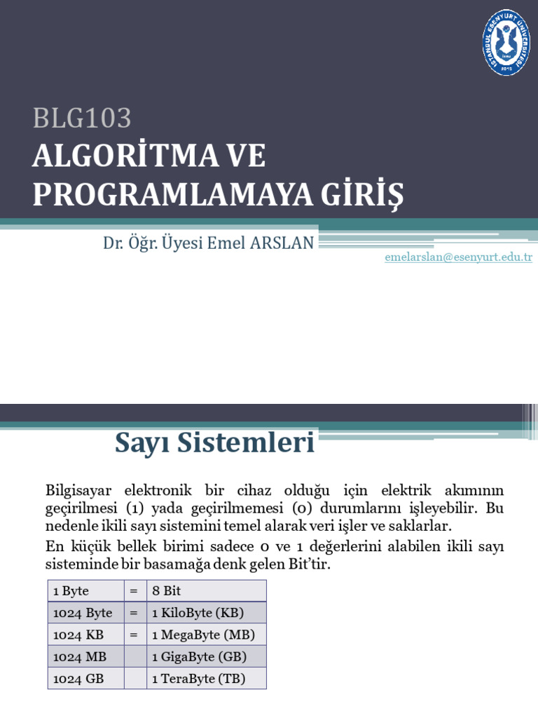 Apg Ders4 Sayisistemleri 3.a | PDF