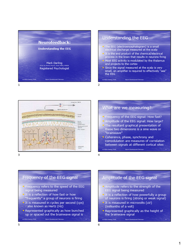 Understanding The EEG | PDF | Electroencephalography | Neural Oscillation