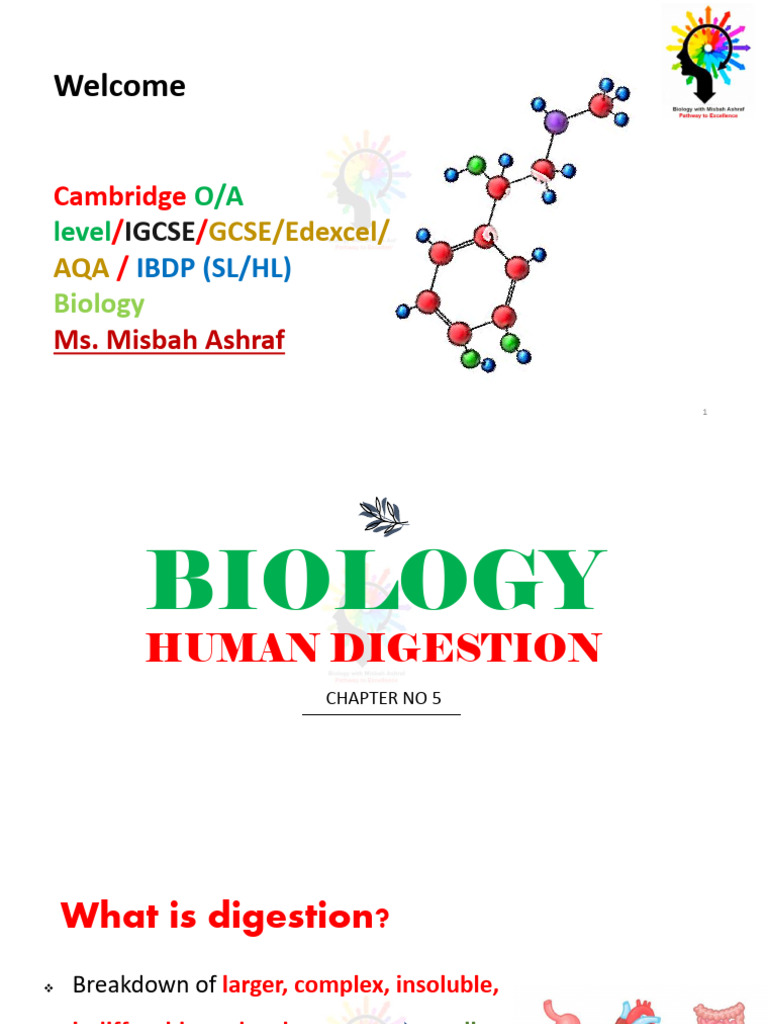 (Chapter 7) Human Nutrition | PDF | Digestion | Human Tooth