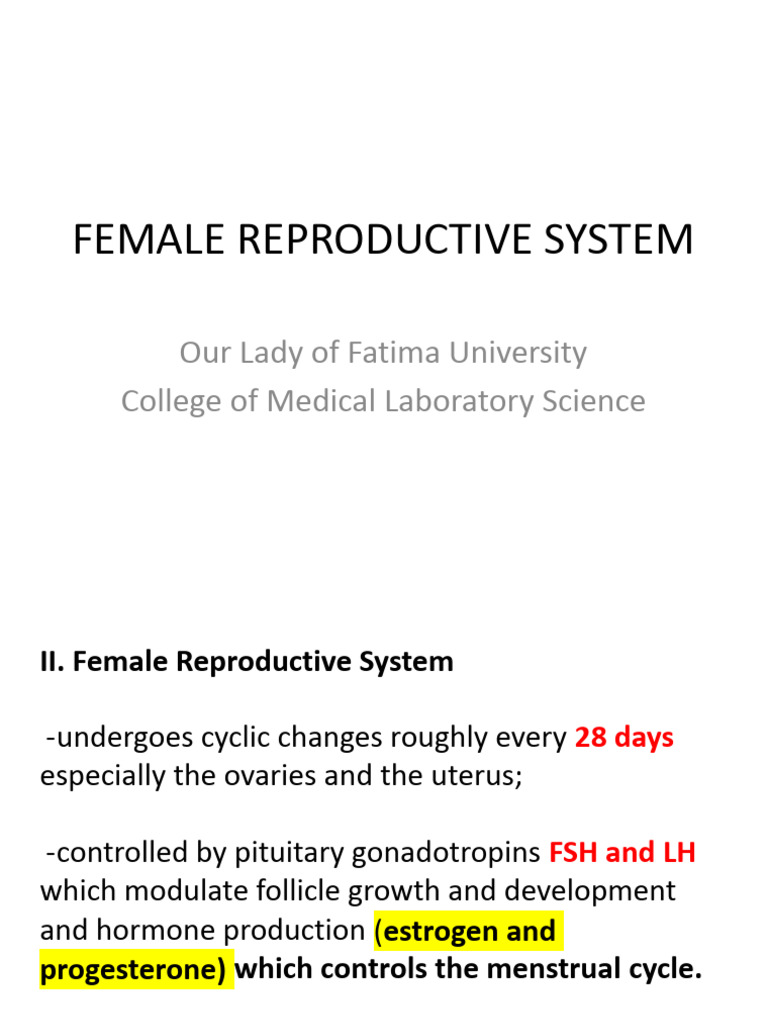 Overview of the Female Reproductive System | PDF | Ovary | Menstrual Cycle