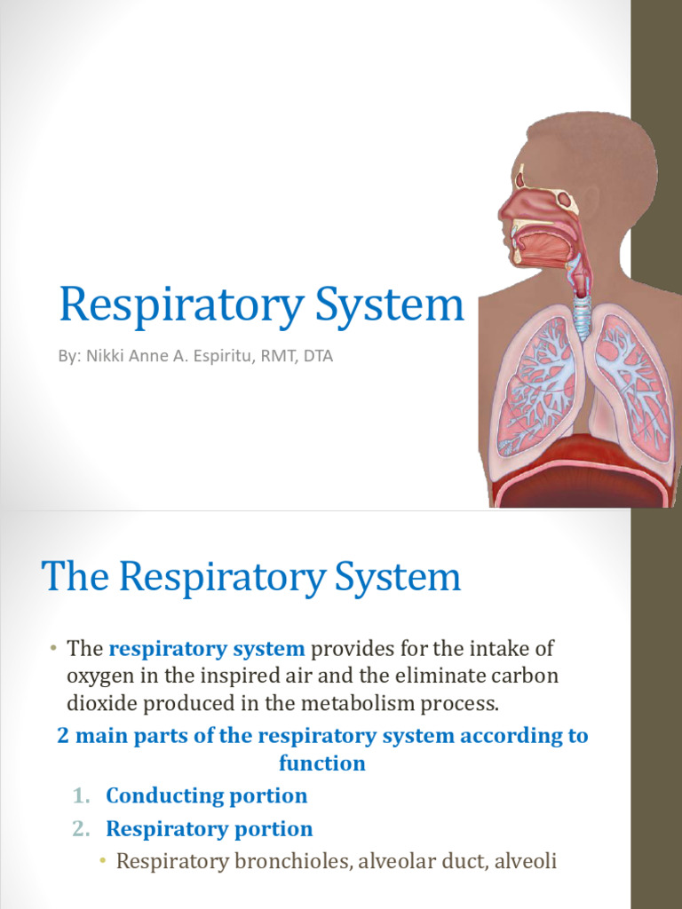 Respiratory System | PDF | Science & Mathematics