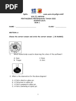 Year 2 DLP | PDF | Egg | Science